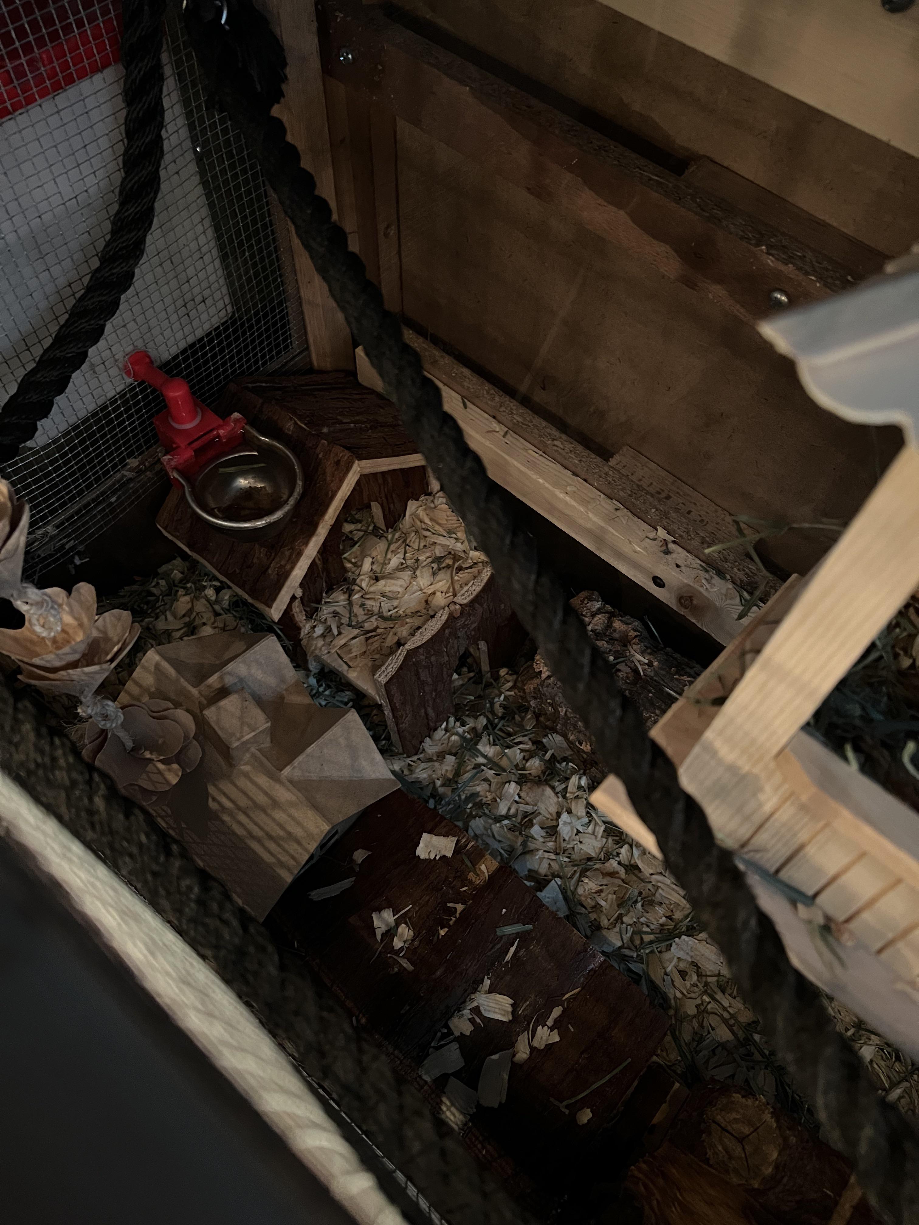 Updated Setup Tour | Scrolller