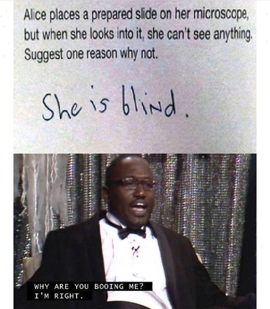 Logical mind blow | Scrolller