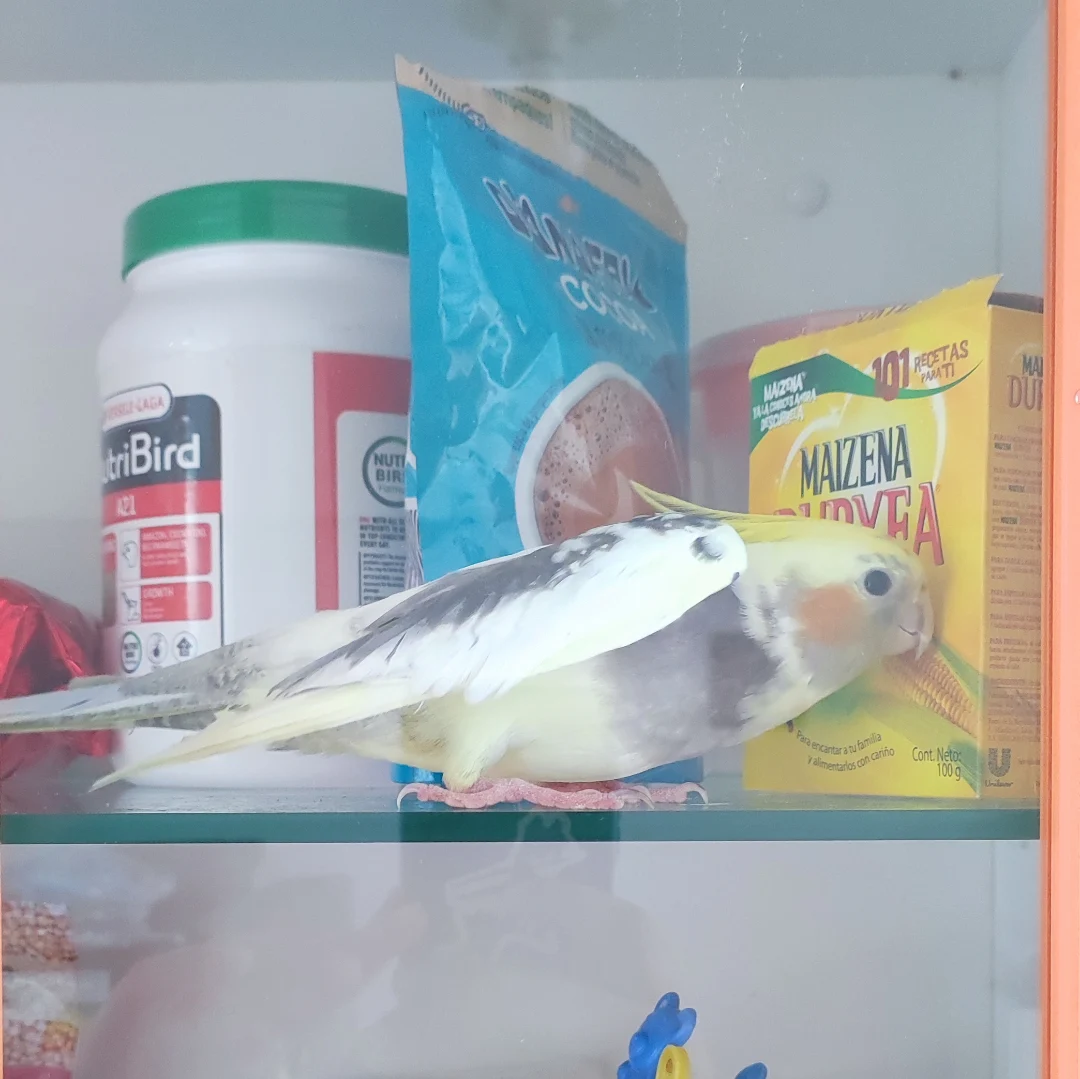 Do you have this on your pantry? | Scrolller