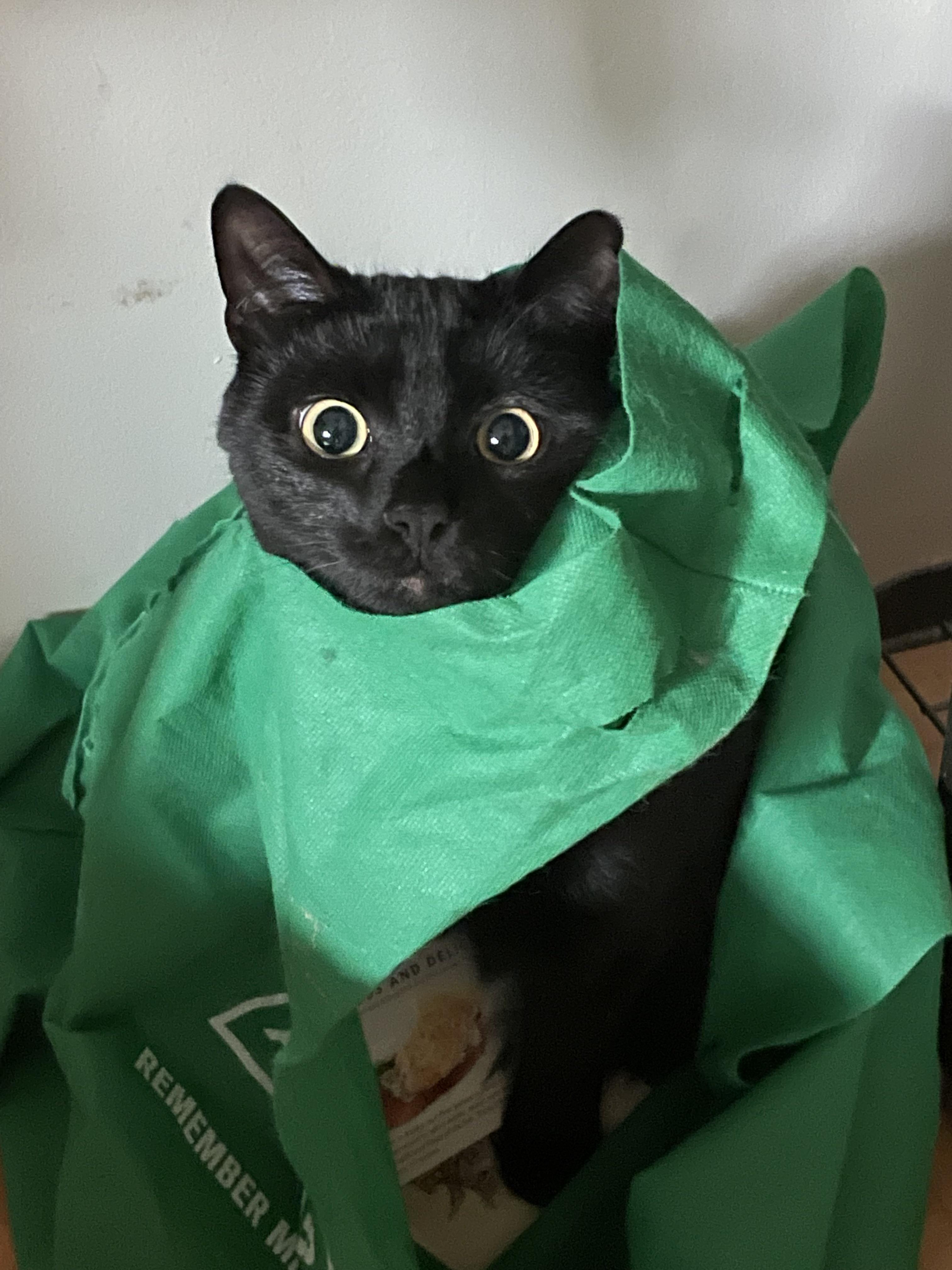 Bag Void | Scrolller