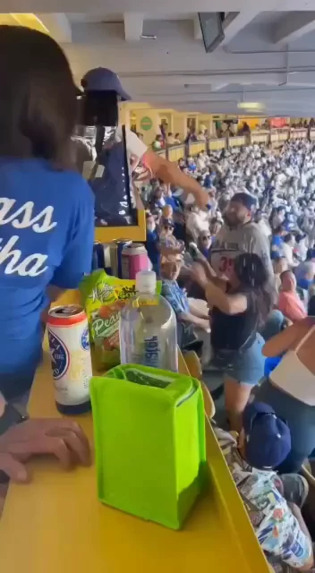 You Gotta Watch Your Back At A Baseball Game Scrolller