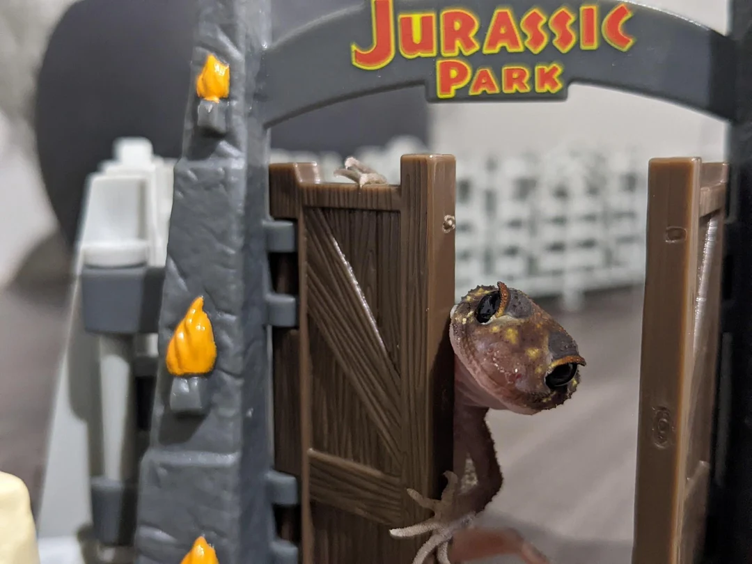 Welcome to Jurassic Park | Scrolller