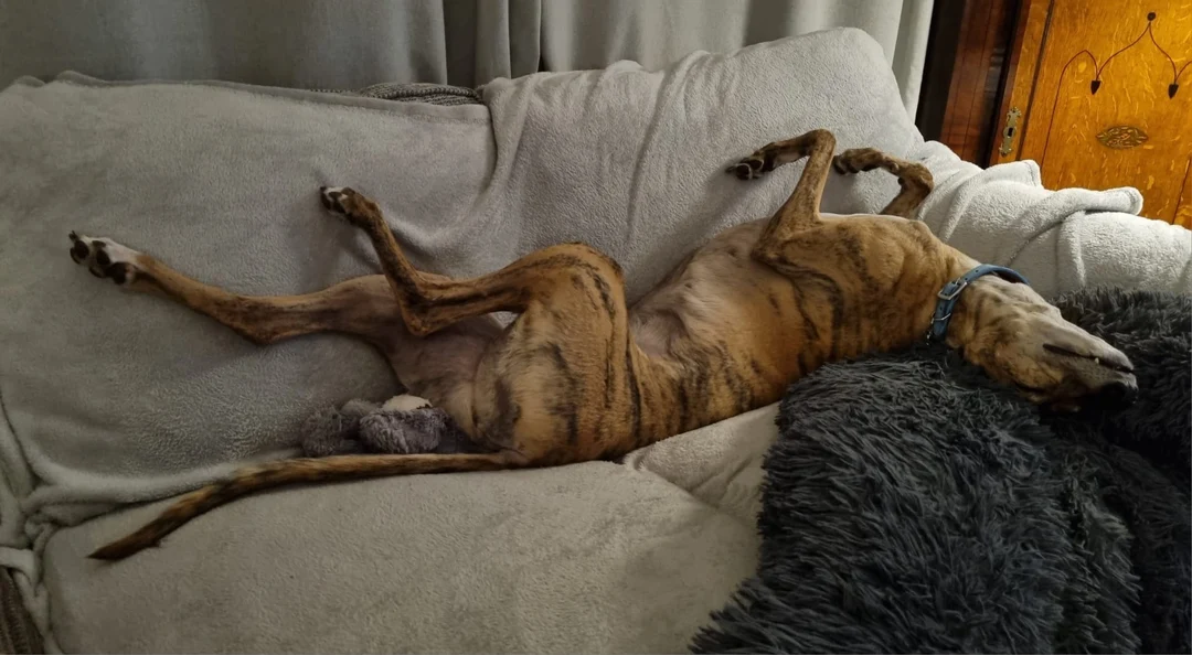 Dramatic, moi? | Scrolller