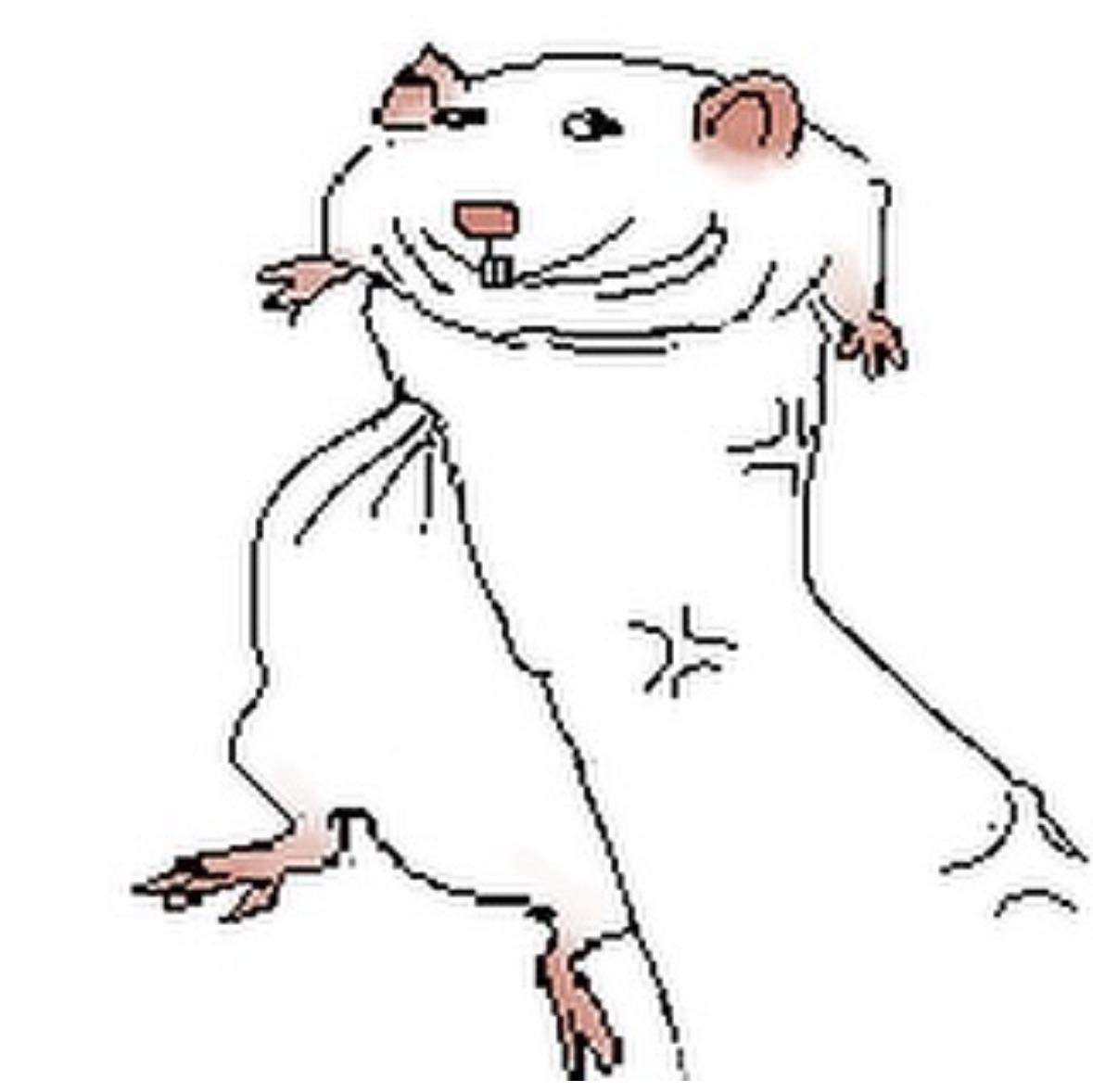 Pov: taking photo of a fuzzy blob | Scrolller