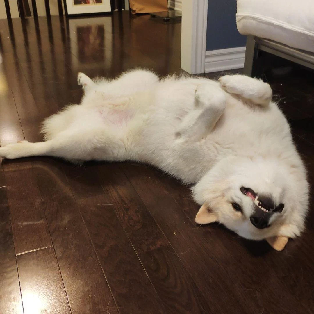 Right as she let out a deadly toot of gas | Scrolller