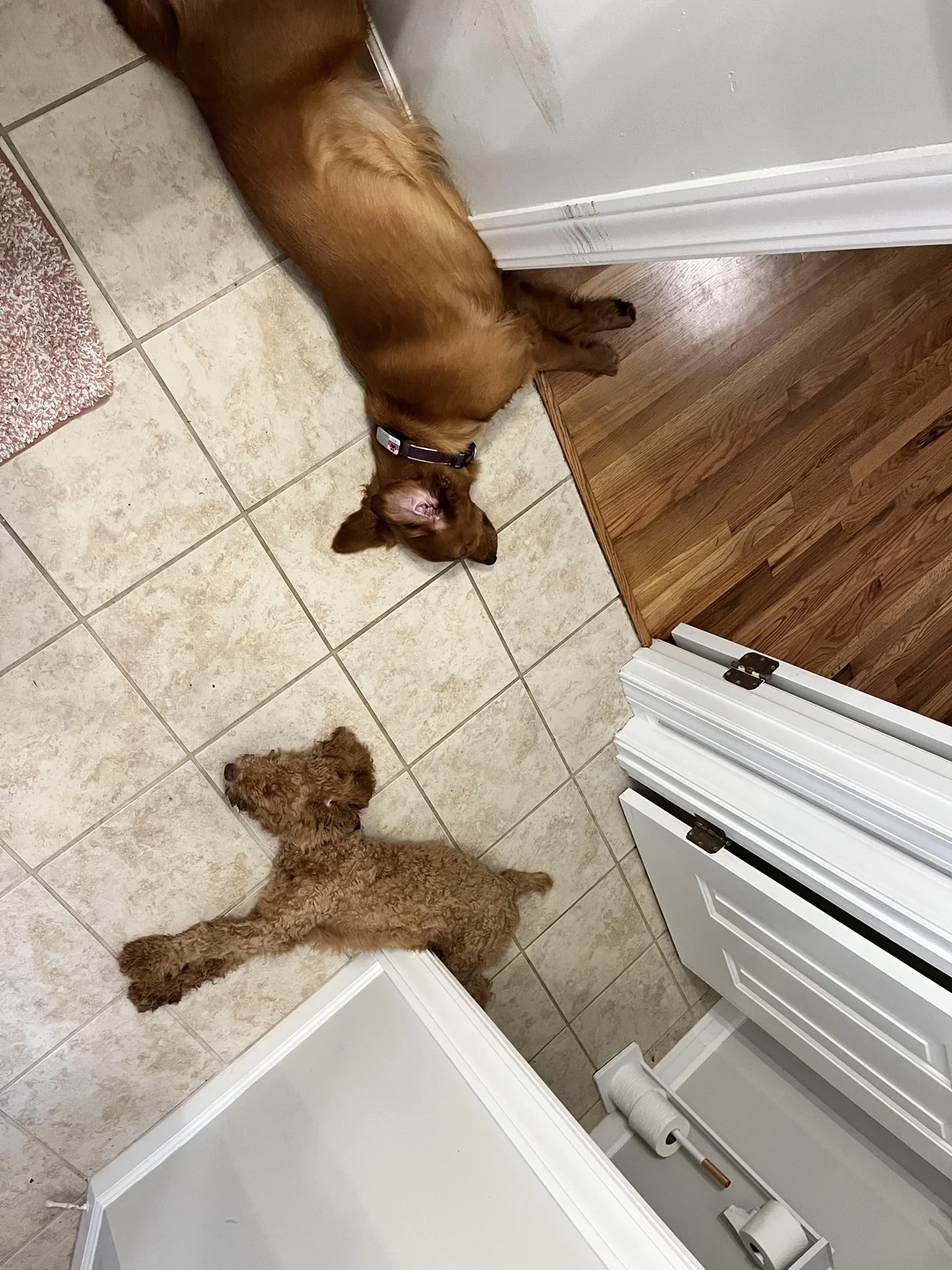 Is there something about a door I’m missing? | Scrolller