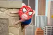 Spider-Ham IRL | Scrolller