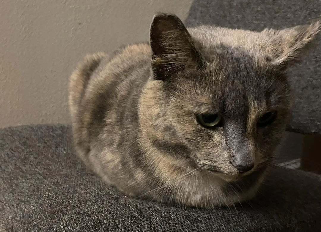 she loaf :3 | Scrolller