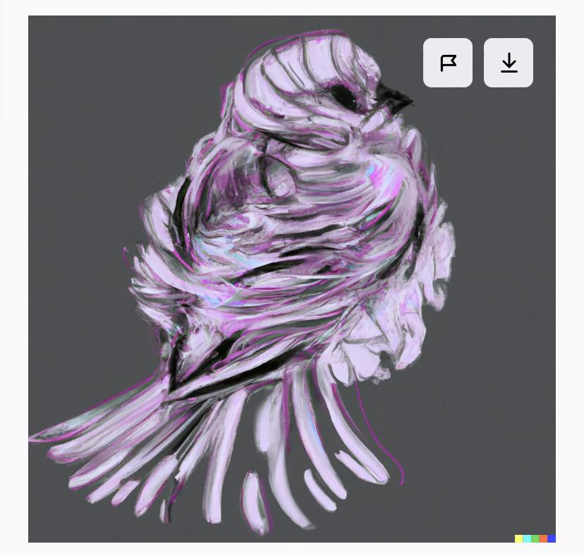 Bird draw | Scrolller