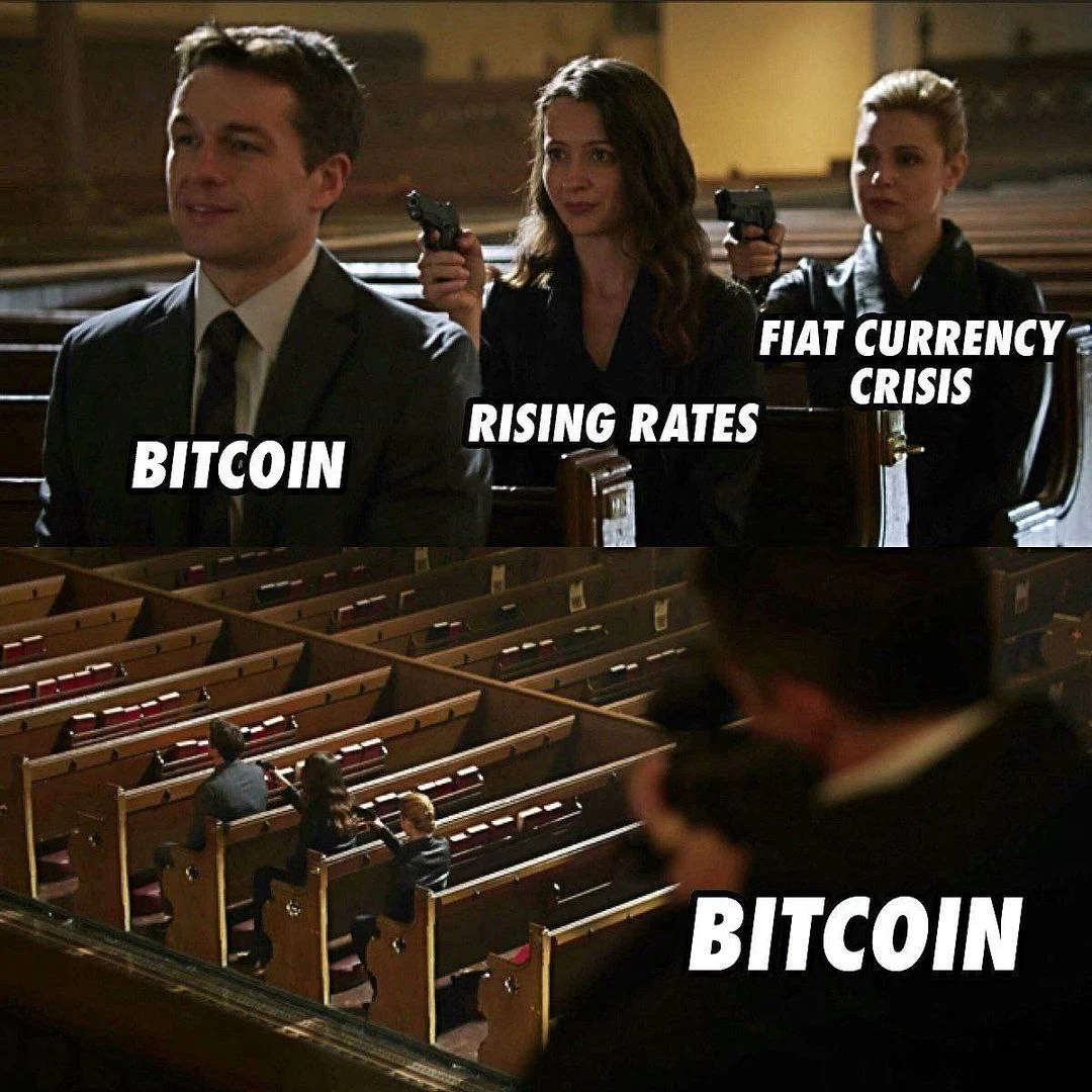 Bitcoin, the silent puppet master pulling the strings in the crypto universe😎 | Scrolller
