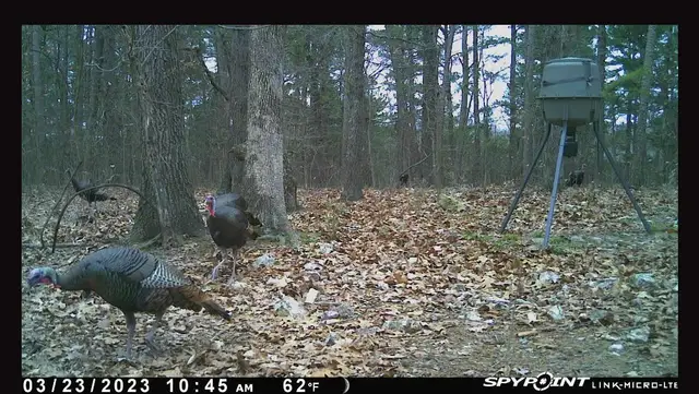 Loving the HD quality on these spy point flex cameras | Scrolller