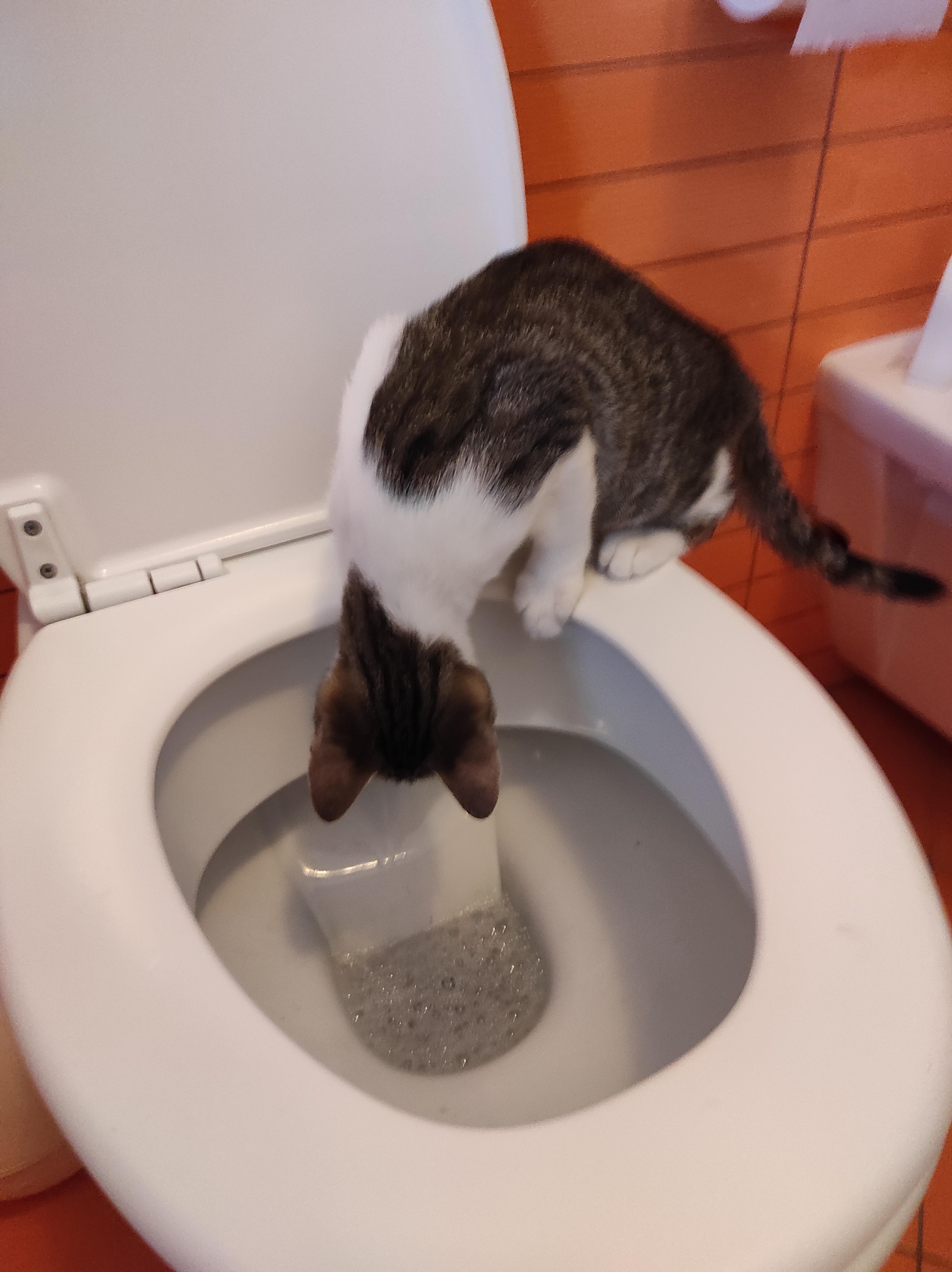 Looking interested | Scrolller