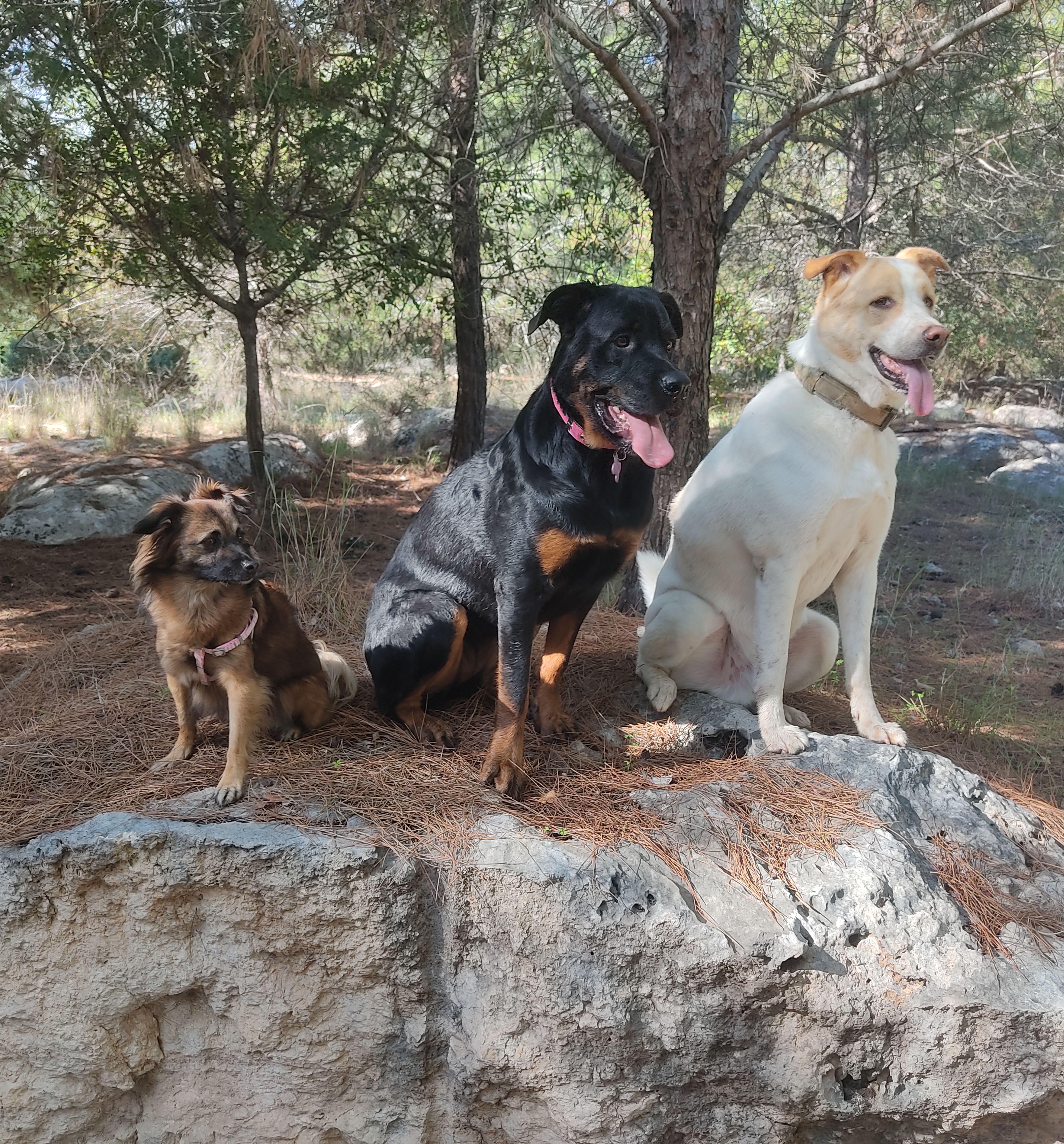 Siblings | Scrolller