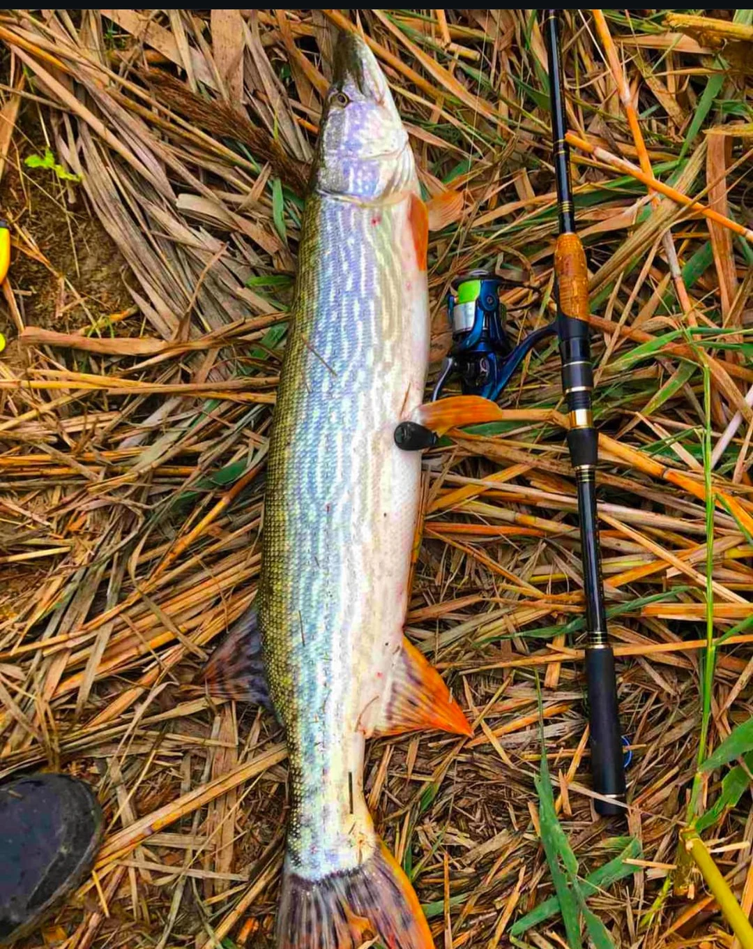 My sons first catch this year | Scrolller