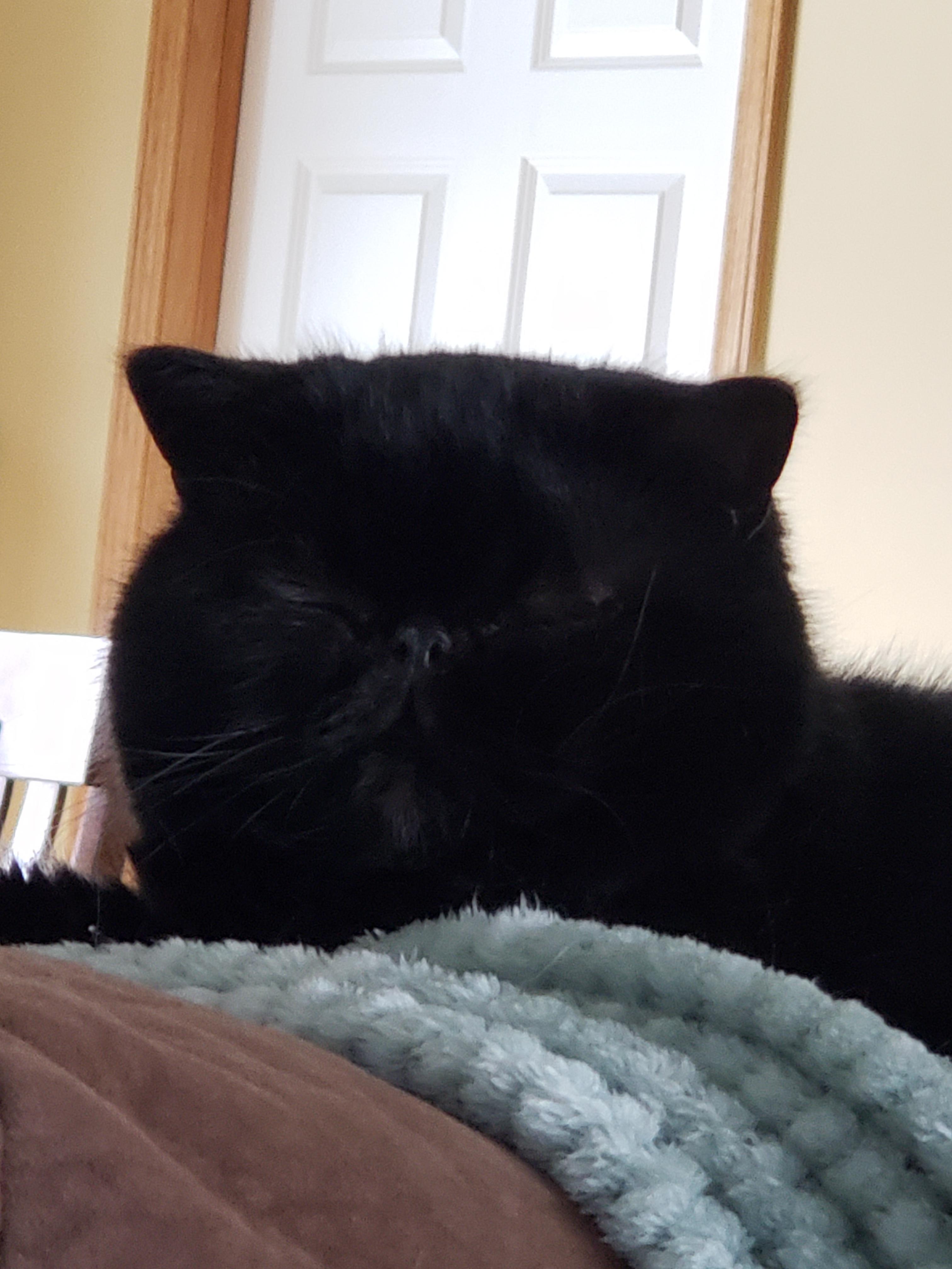 Smooshy face void | Scrolller