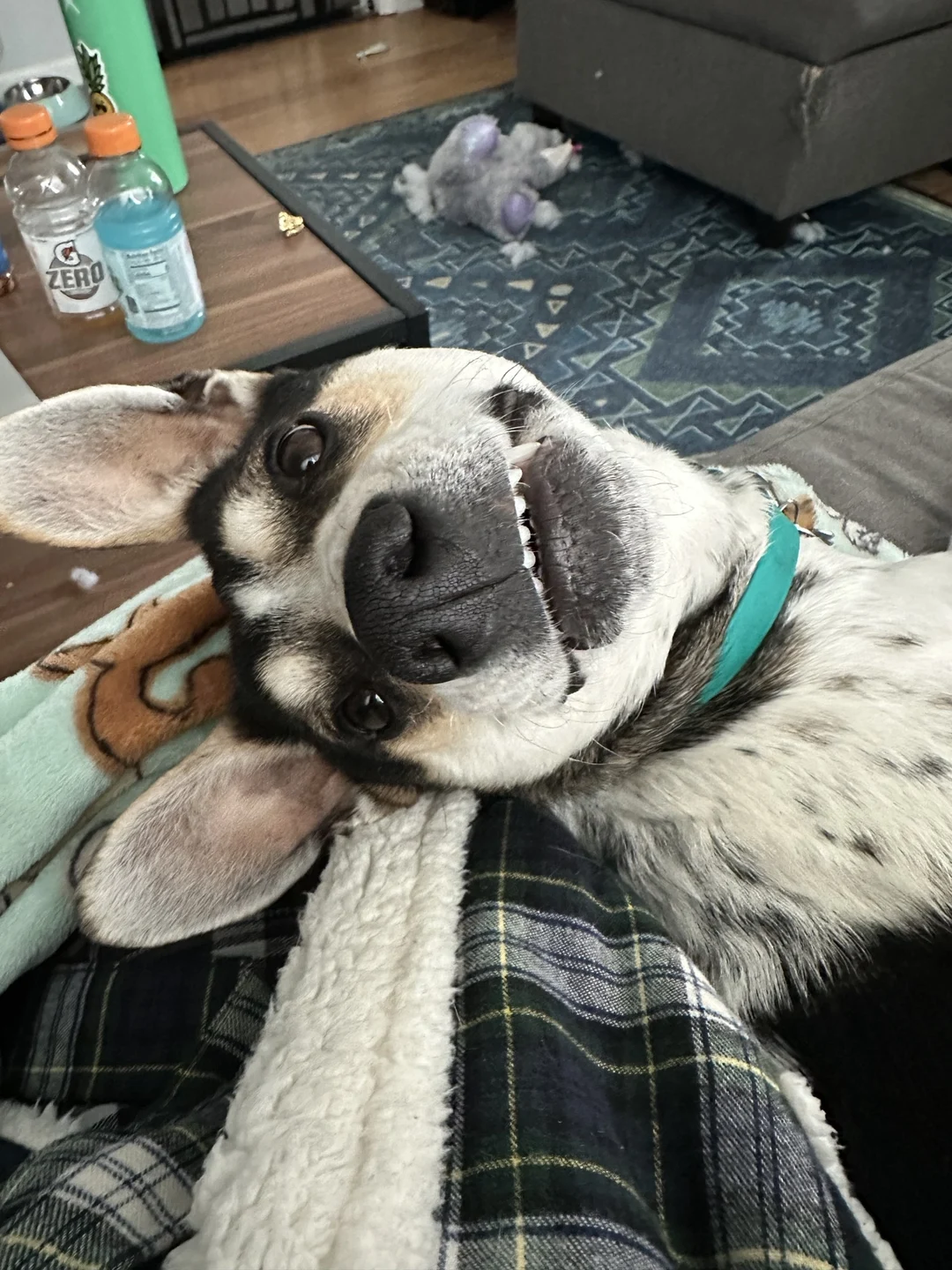 Say cheese! | Scrolller