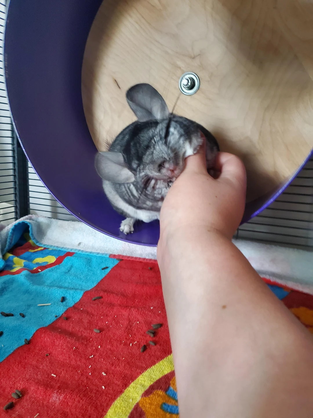 I love how this look is universal through all chins | Scrolller