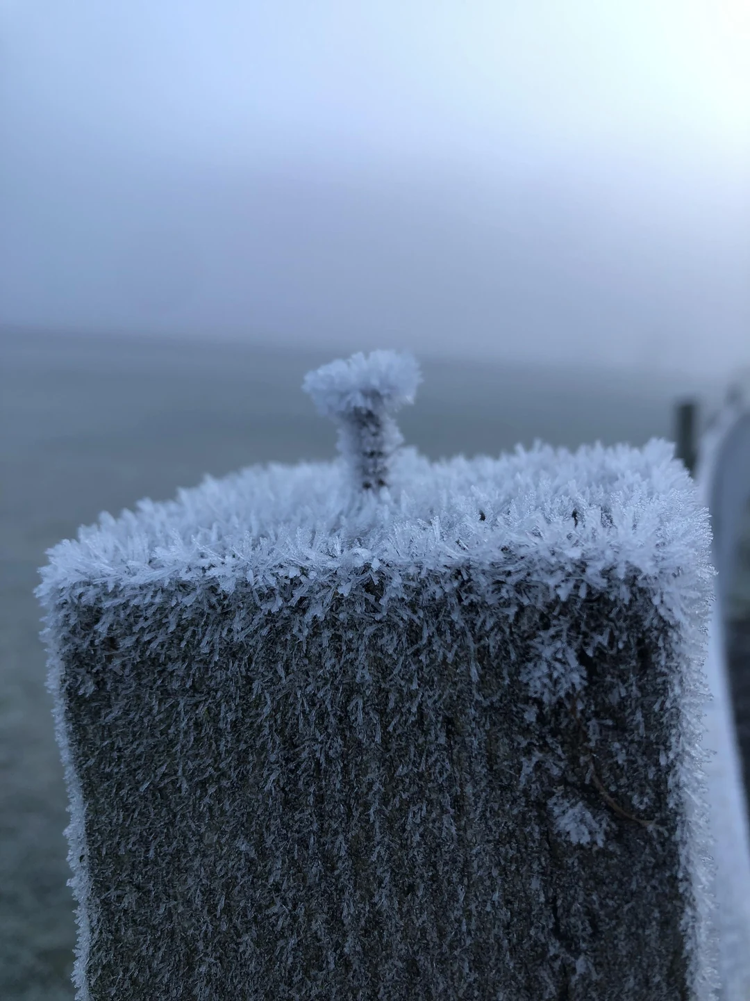 Nailed it. | Scrolller