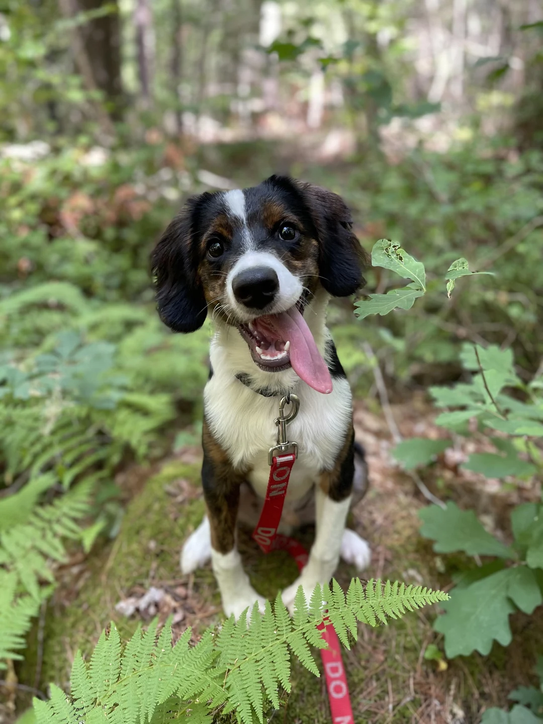 Meet Jaime | Scrolller