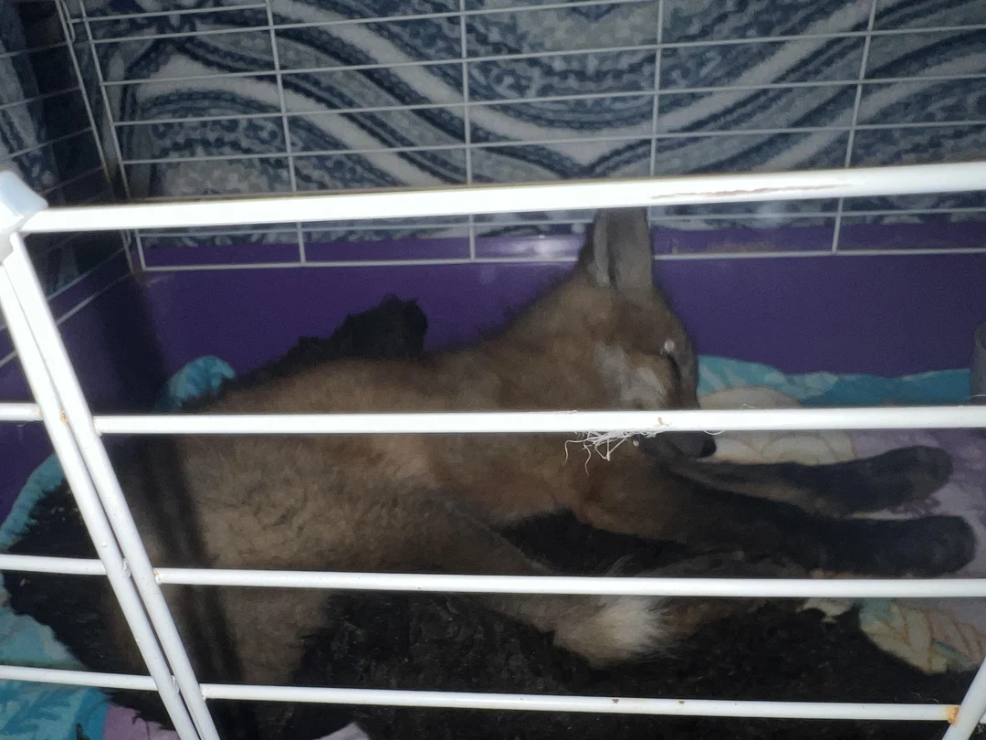 Need some advice! | Scrolller