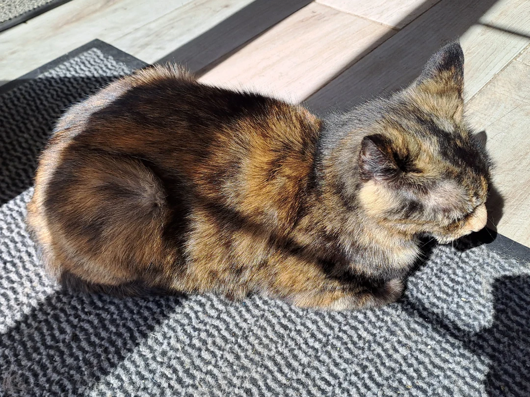 Cute loaf | Scrolller