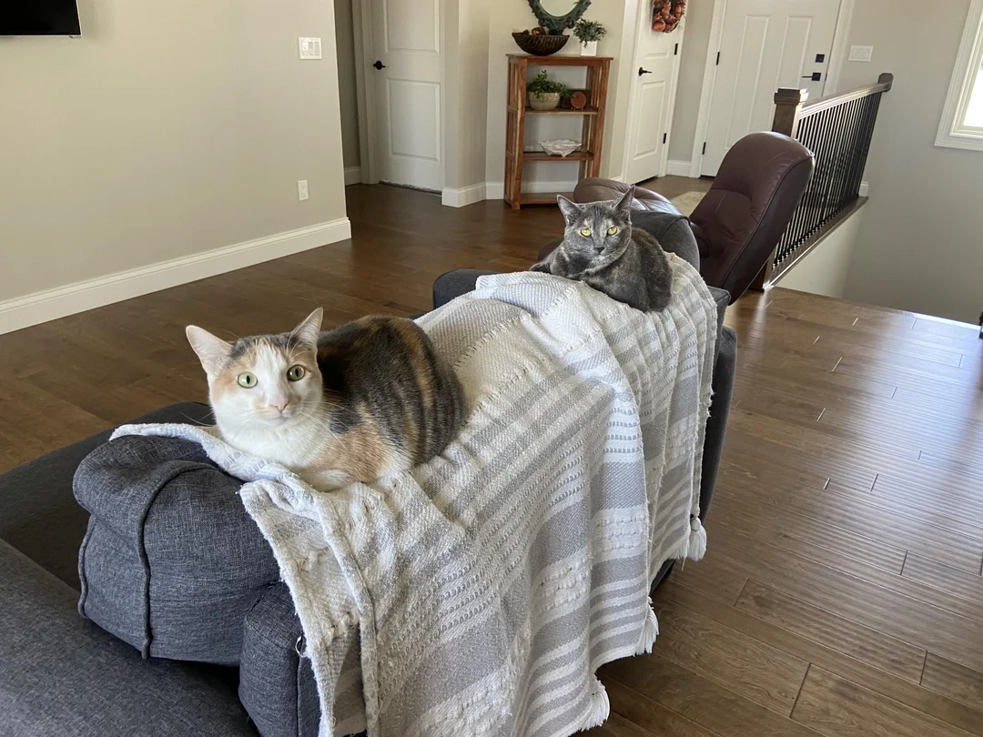 Double couch loaf | Scrolller