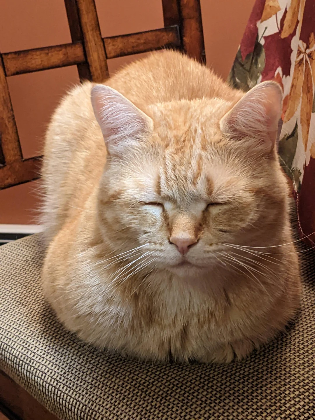 Excellent form | Scrolller