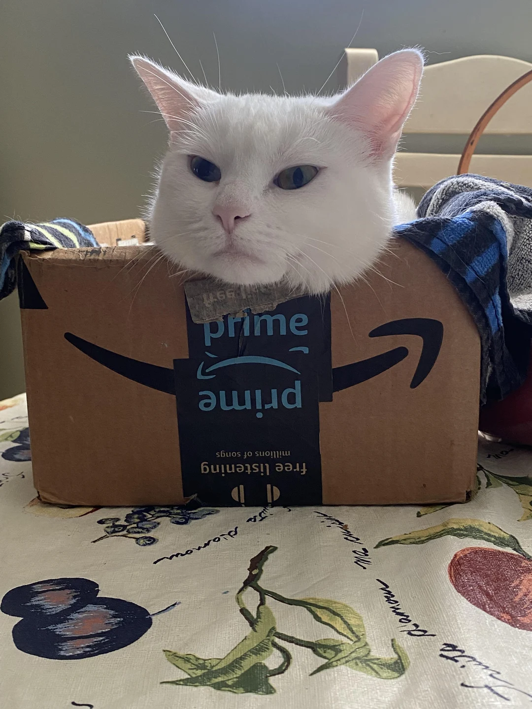 My little girl, Iris, hanging out in a box | Scrolller