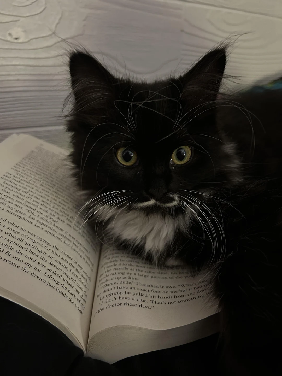 Mavis ️ Scrolller