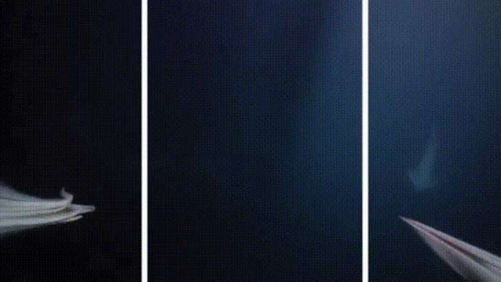 Jus' a squidshark [Below Zero] [No Spoilers] | Scrolller