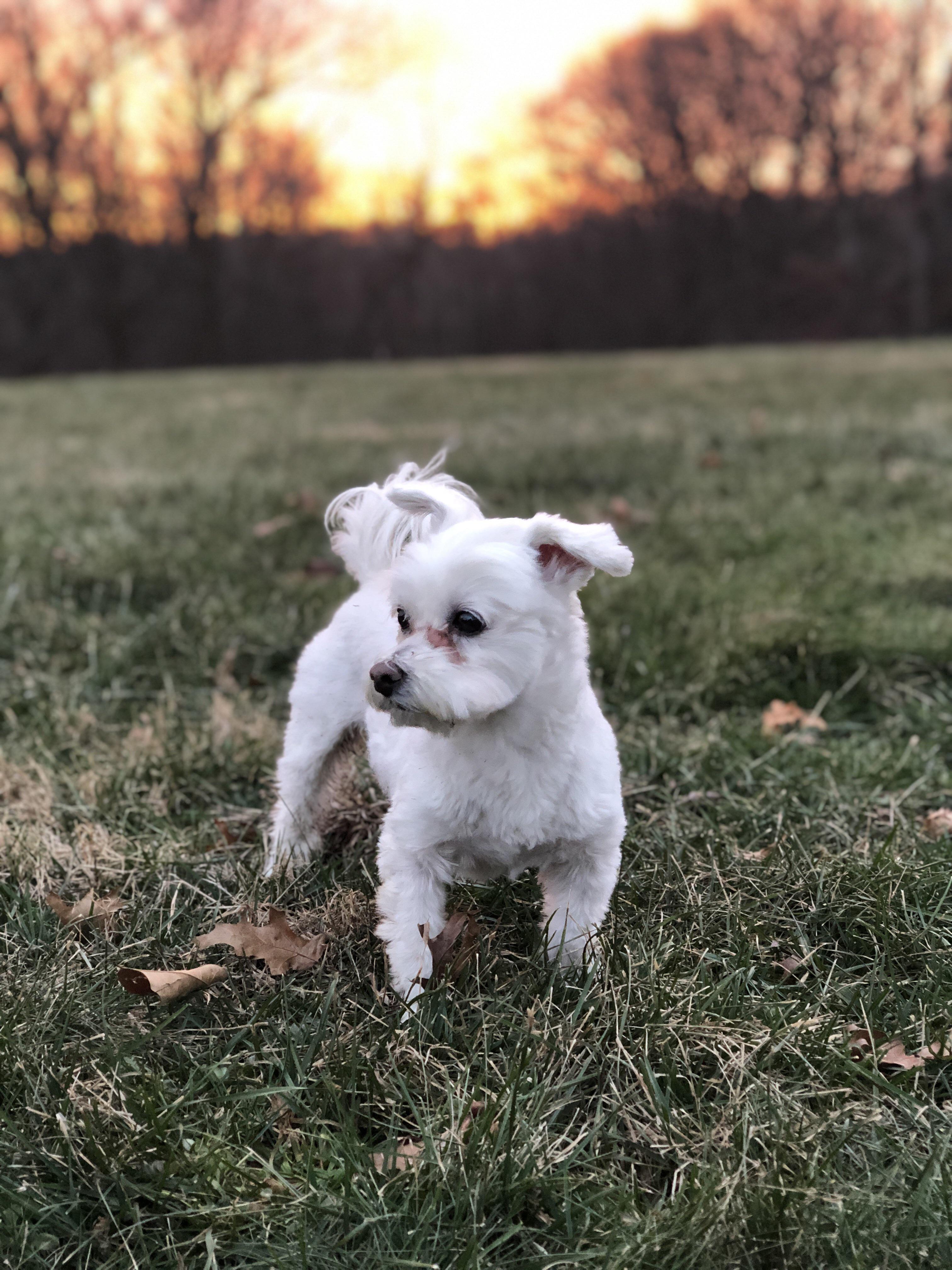 Last haircut before winter! | Scrolller