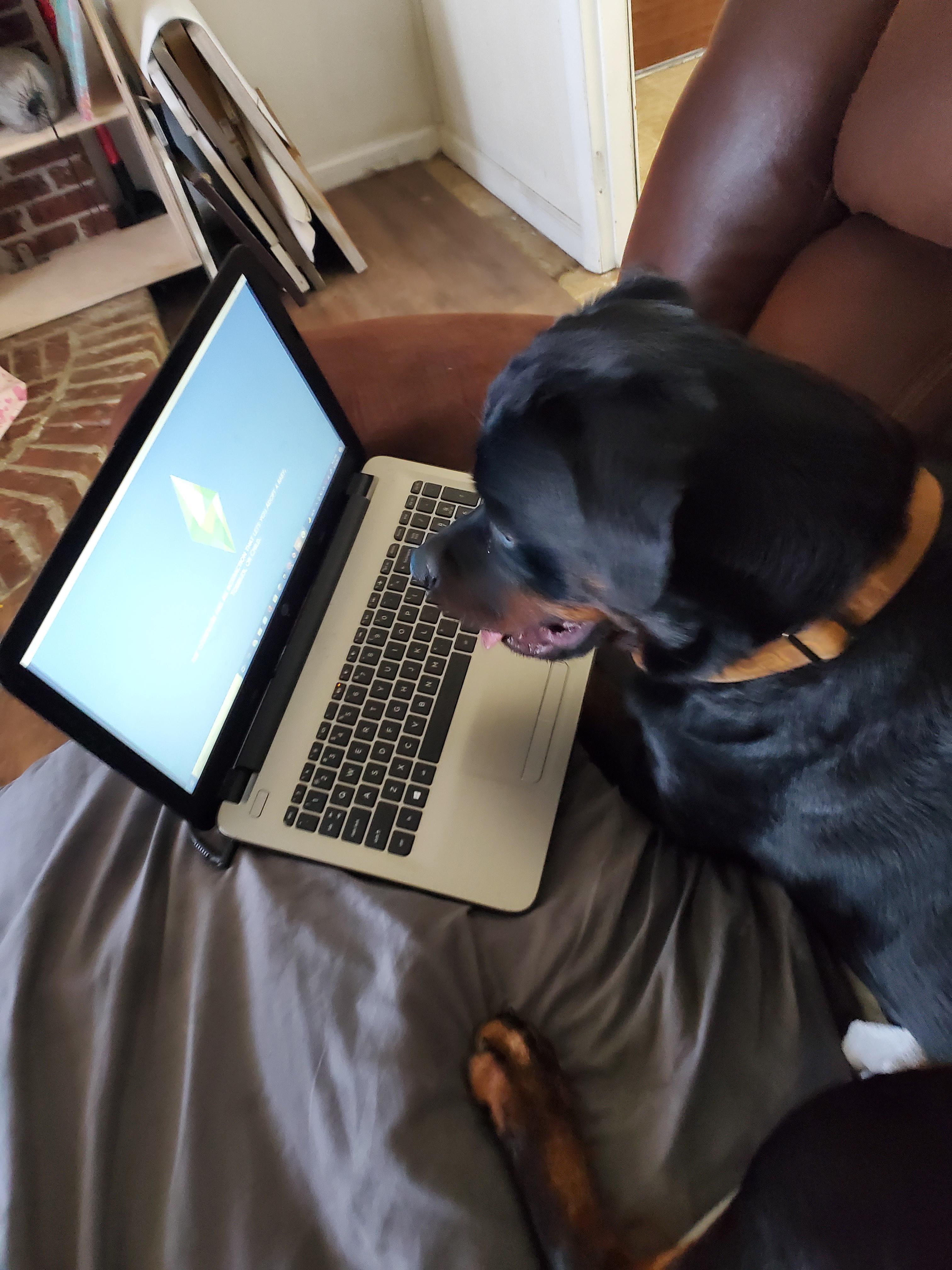 A true gamer. | Scrolller