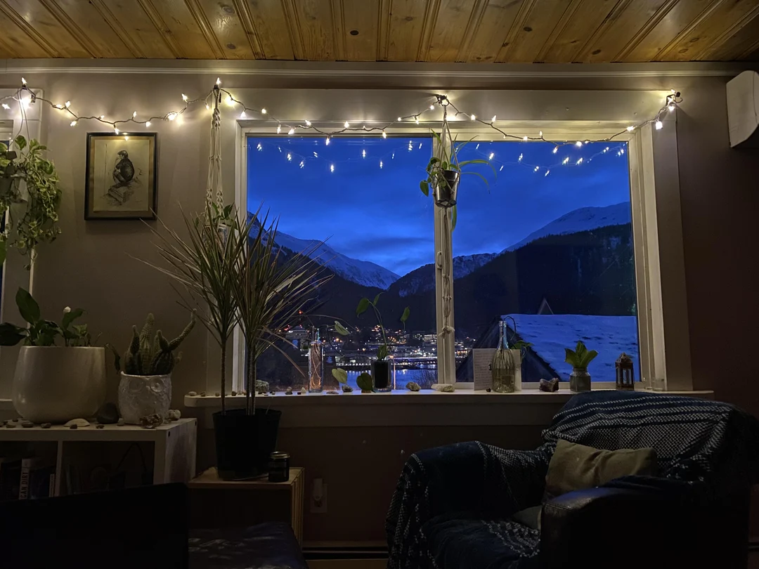 My cute Alaskan view | Scrolller