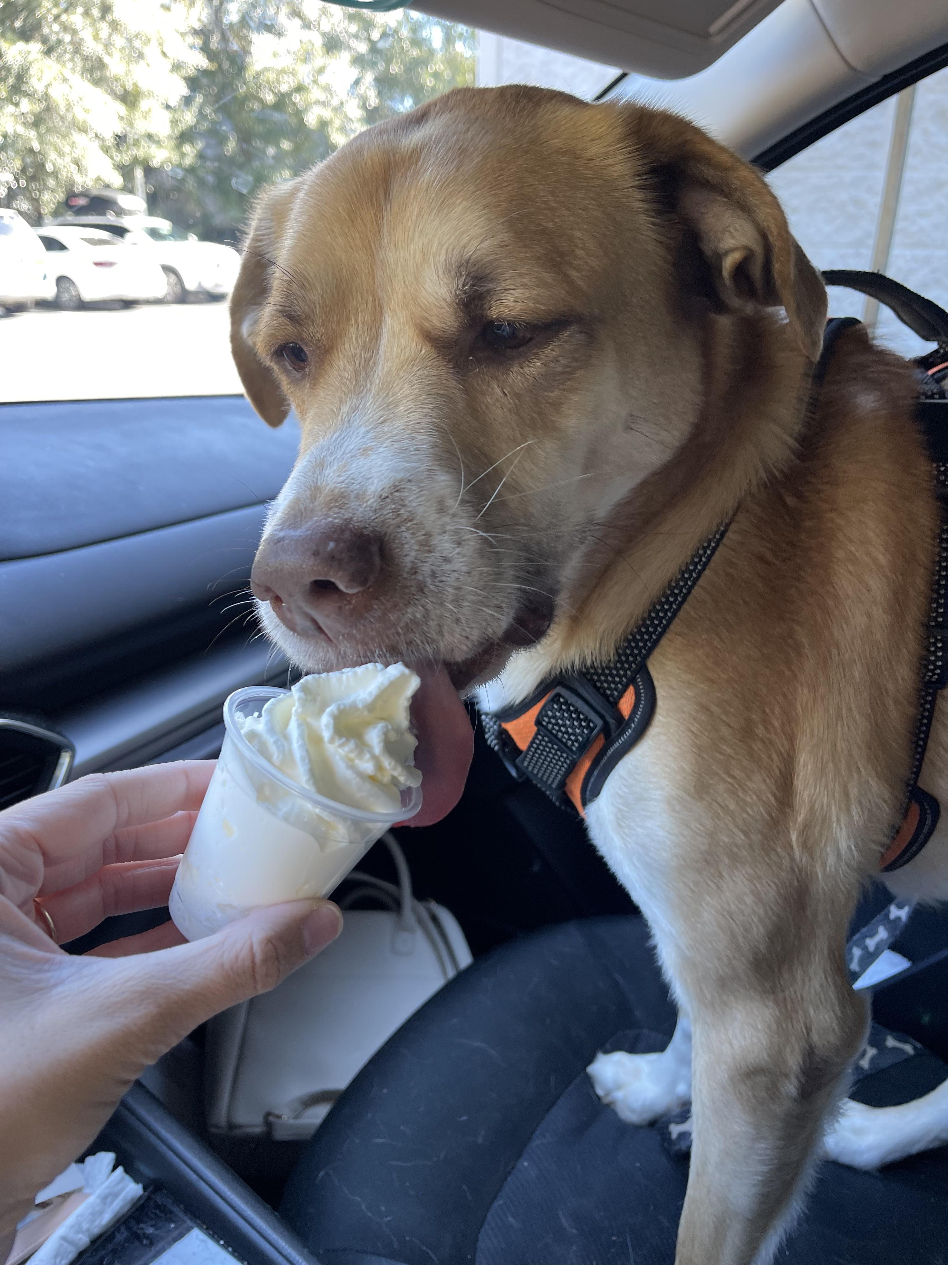 What is my foster? | Scrolller