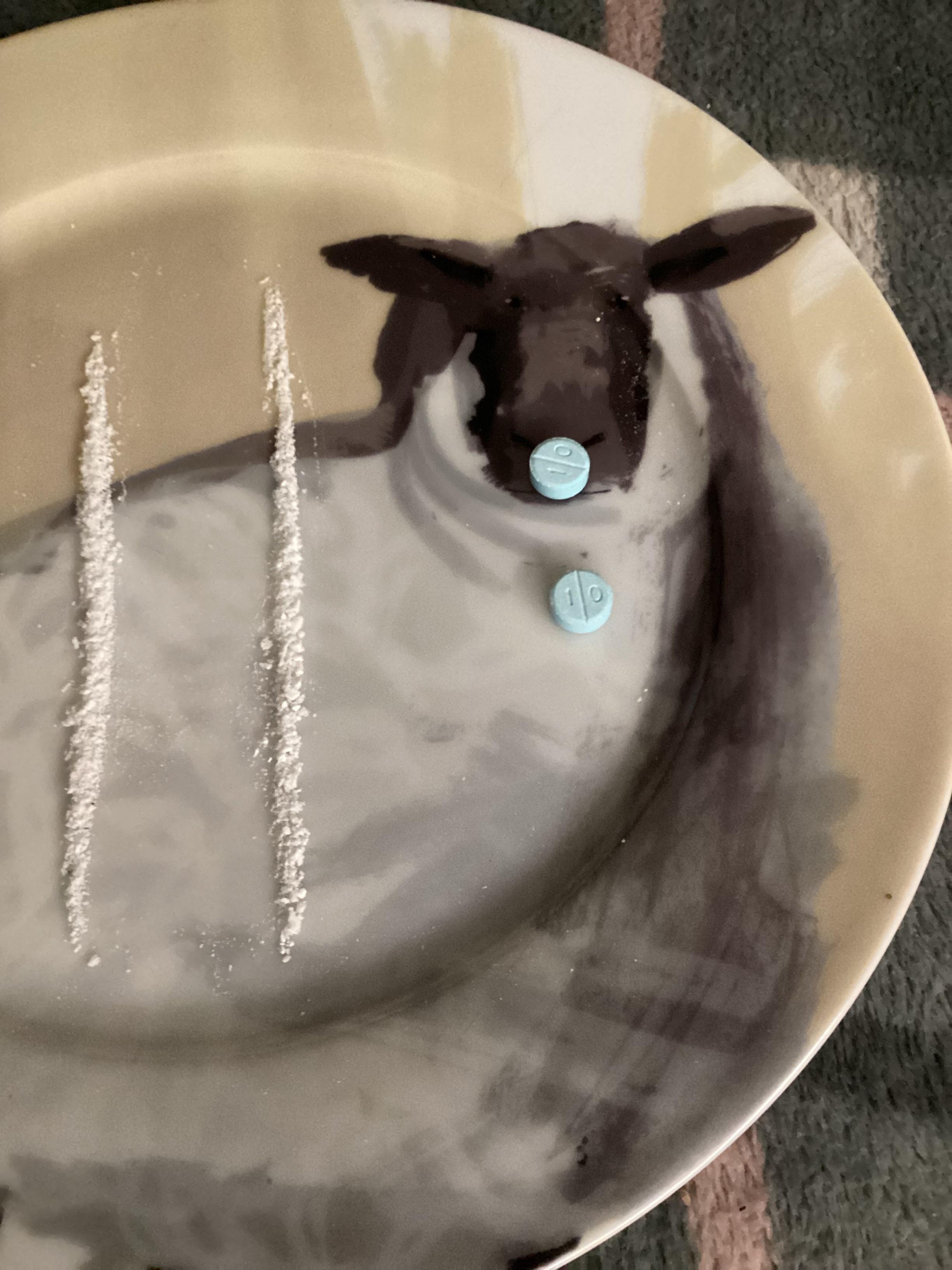 Dinner, then pudding | Scrolller