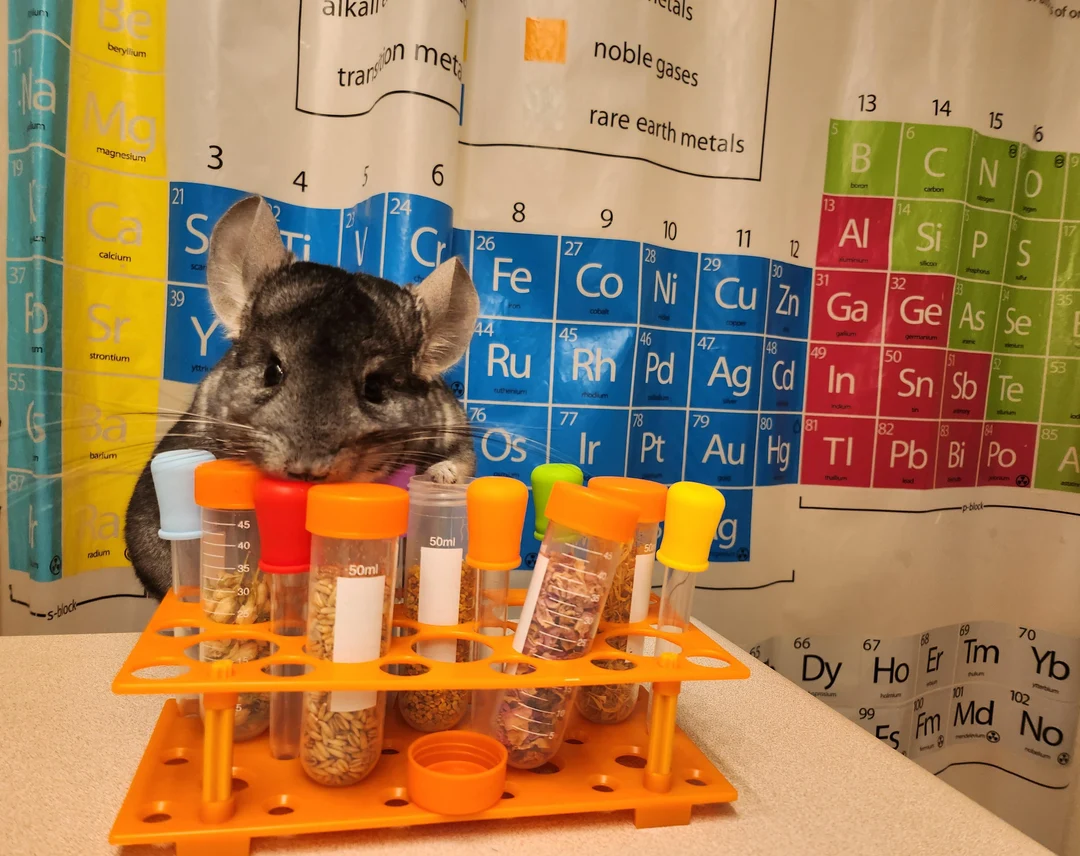 Happy Lab Week | Scrolller