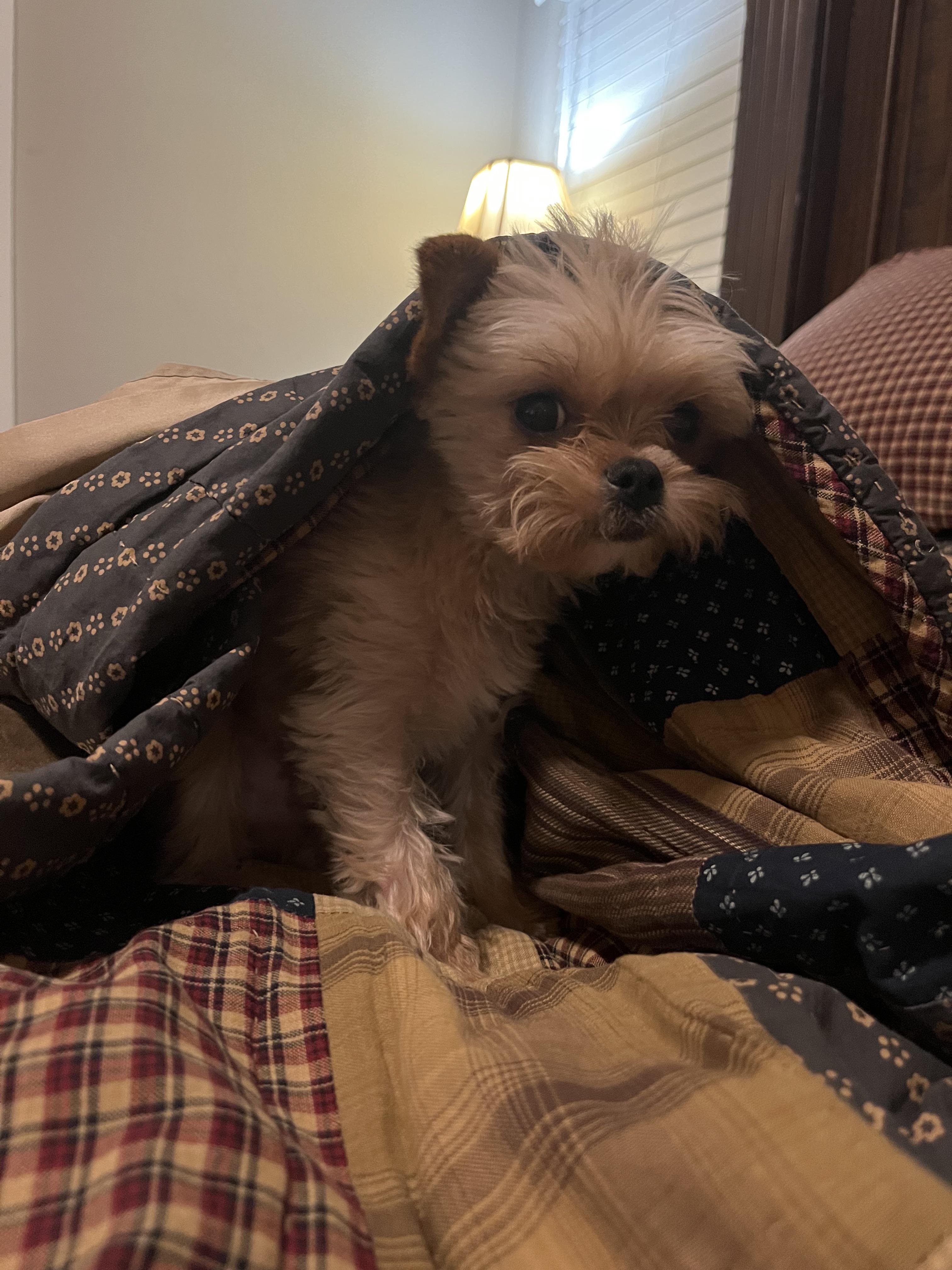 I got up and he was very suspicious as to why | Scrolller