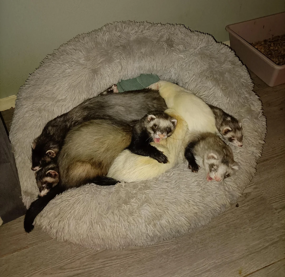 Stacking | Scrolller