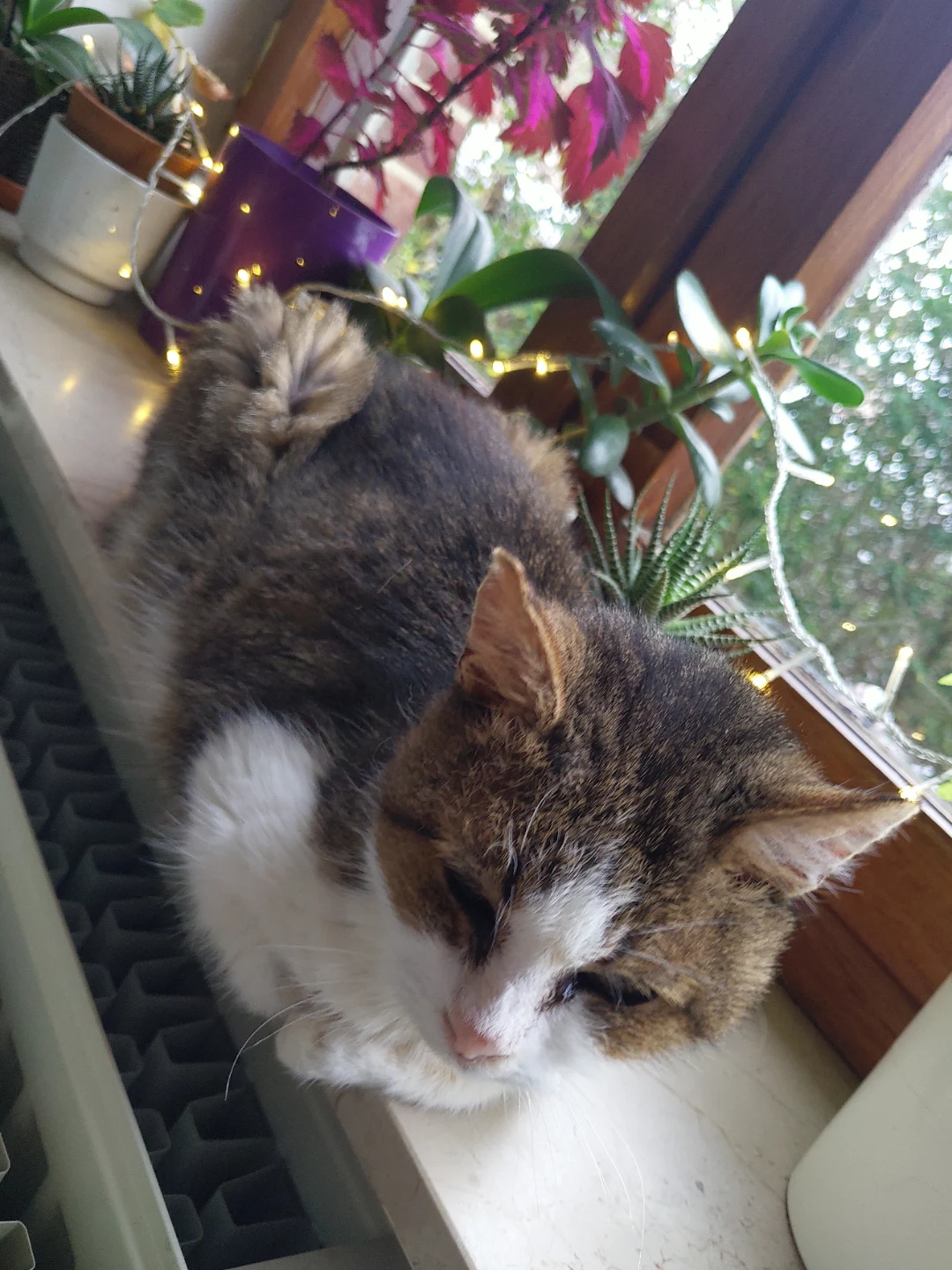 Old lady loaf | Scrolller