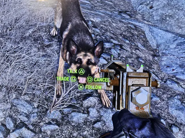 Anyone know how to send the dog home in fallout 4? | Scrolller