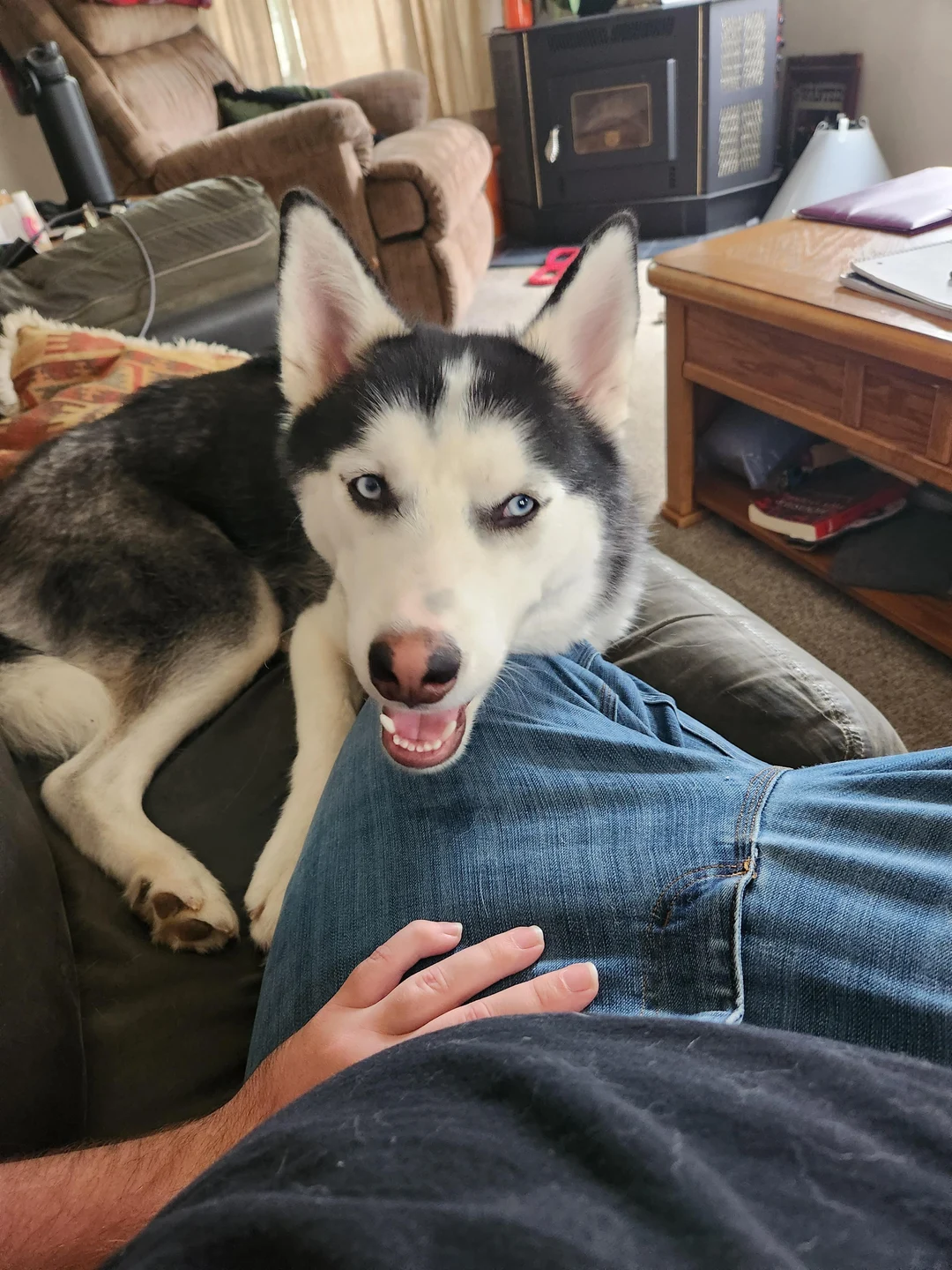 Rough biting | Scrolller