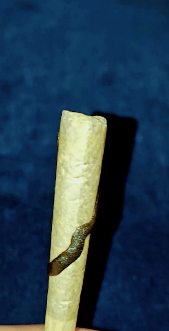 DAE Hash Snake? | Scrolller