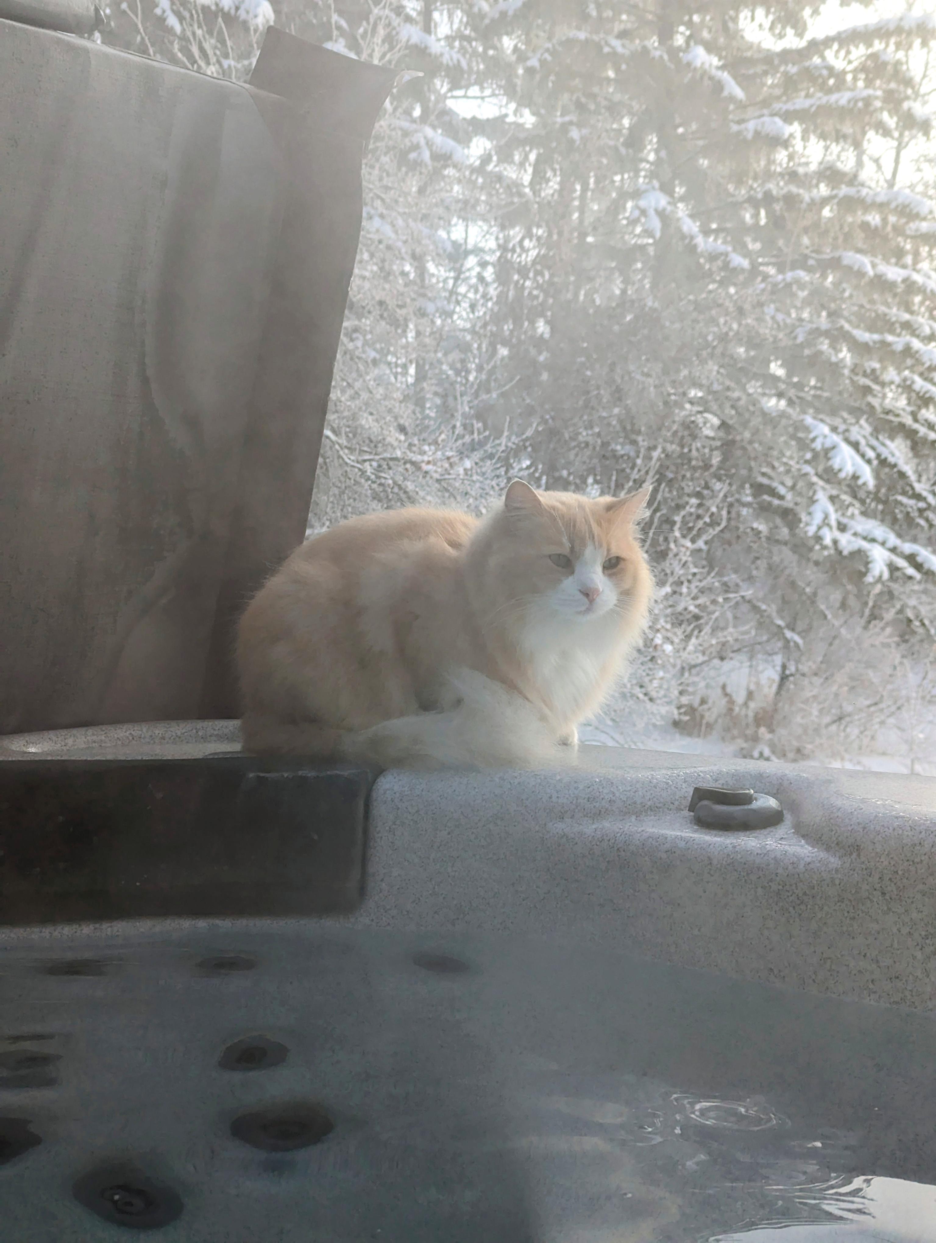 Spa day! | Scrolller