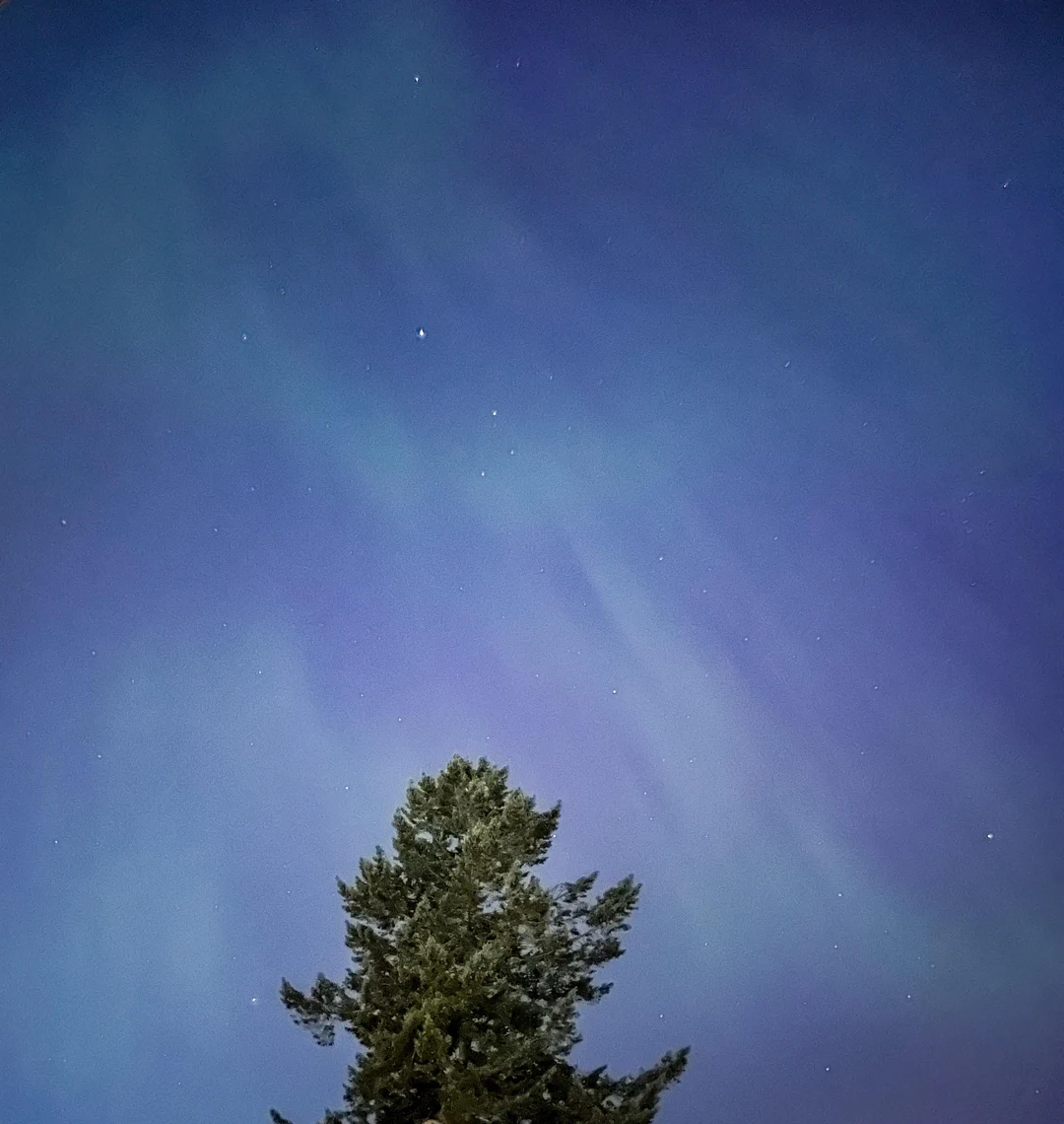 Aurora from my house in Seattle [OC] 2500x2200 | Scrolller