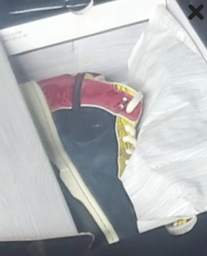 hey can anyone tell me what these are? sorry for the terrible quality it's from a screenshot ...