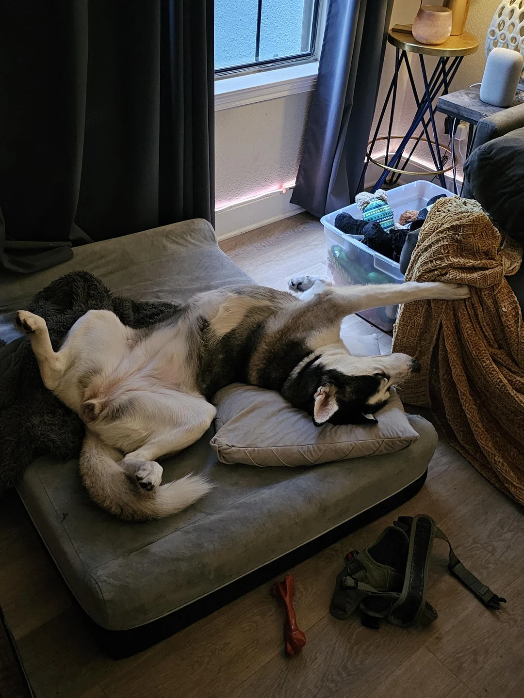 We woke to her twisted!! | Scrolller