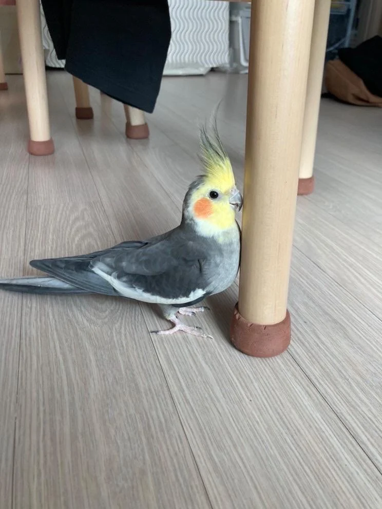 Good posture starts today. Do this in the morning to straighten your back. | Scrolller