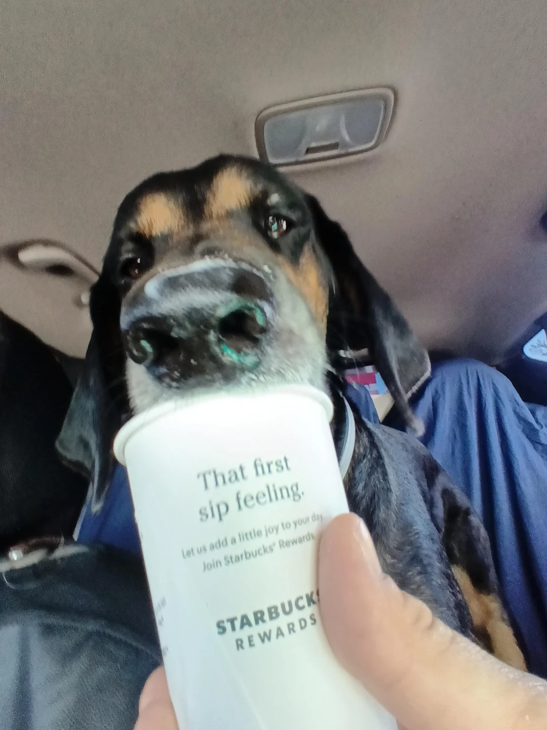 Boop her snoot? Yes please! | Scrolller