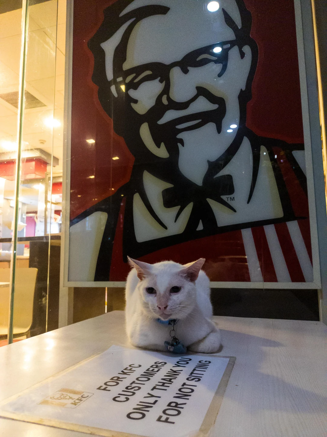 Chonk loaf at KFC | Scrolller