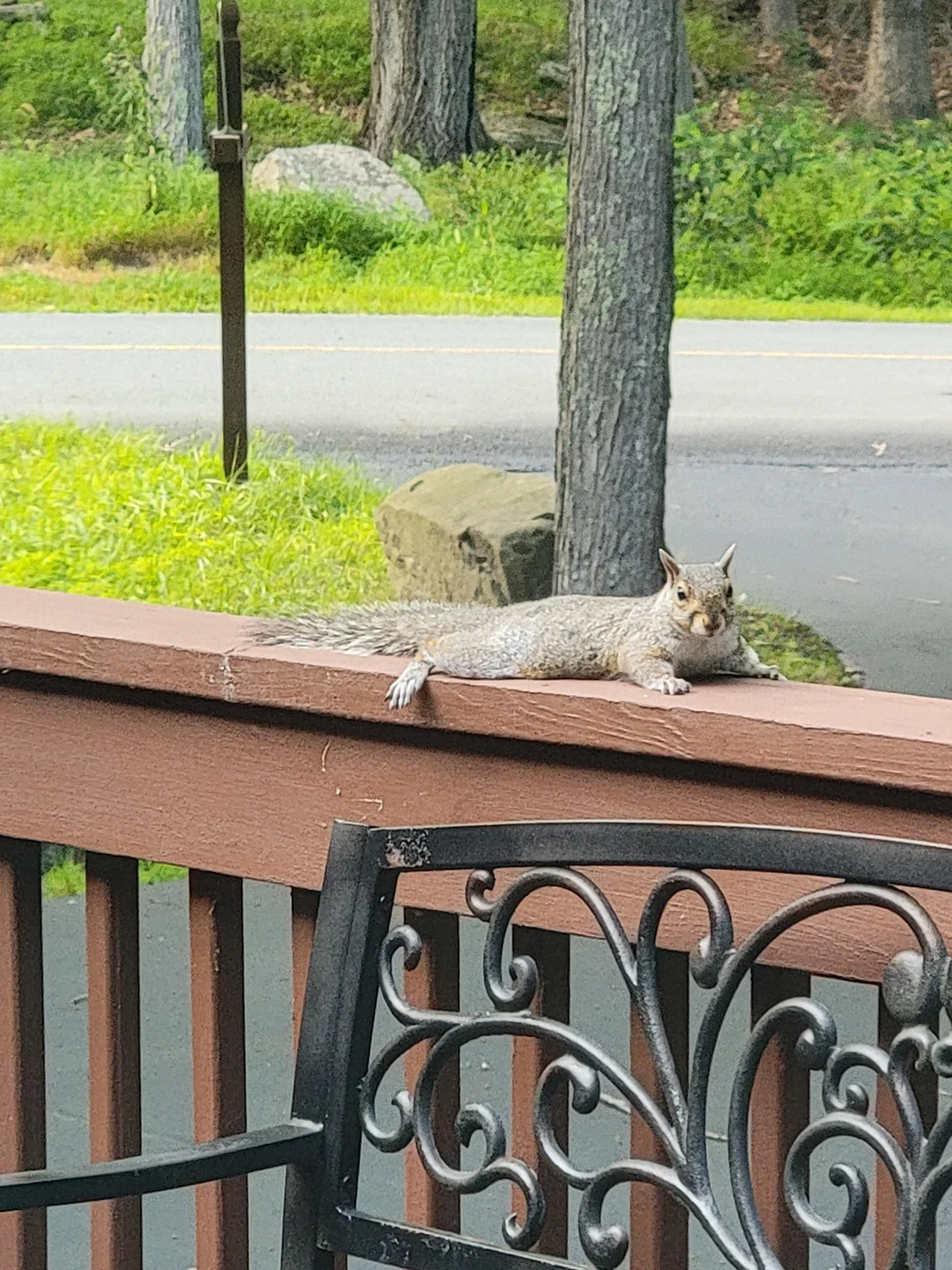 straight chillin | Scrolller